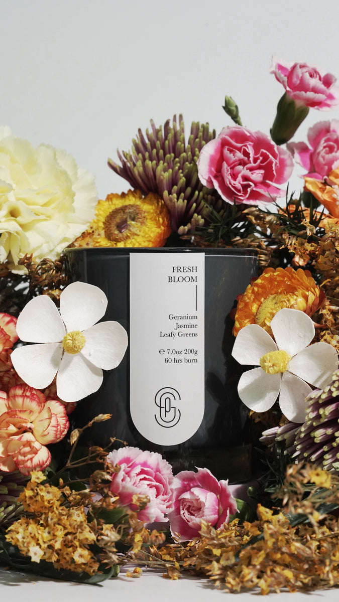 Buy One, Plant One – Soul Good Project